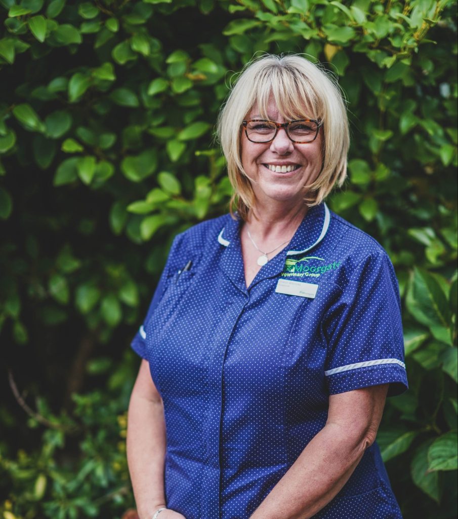 Support Team - Moorgate Veterinary Group