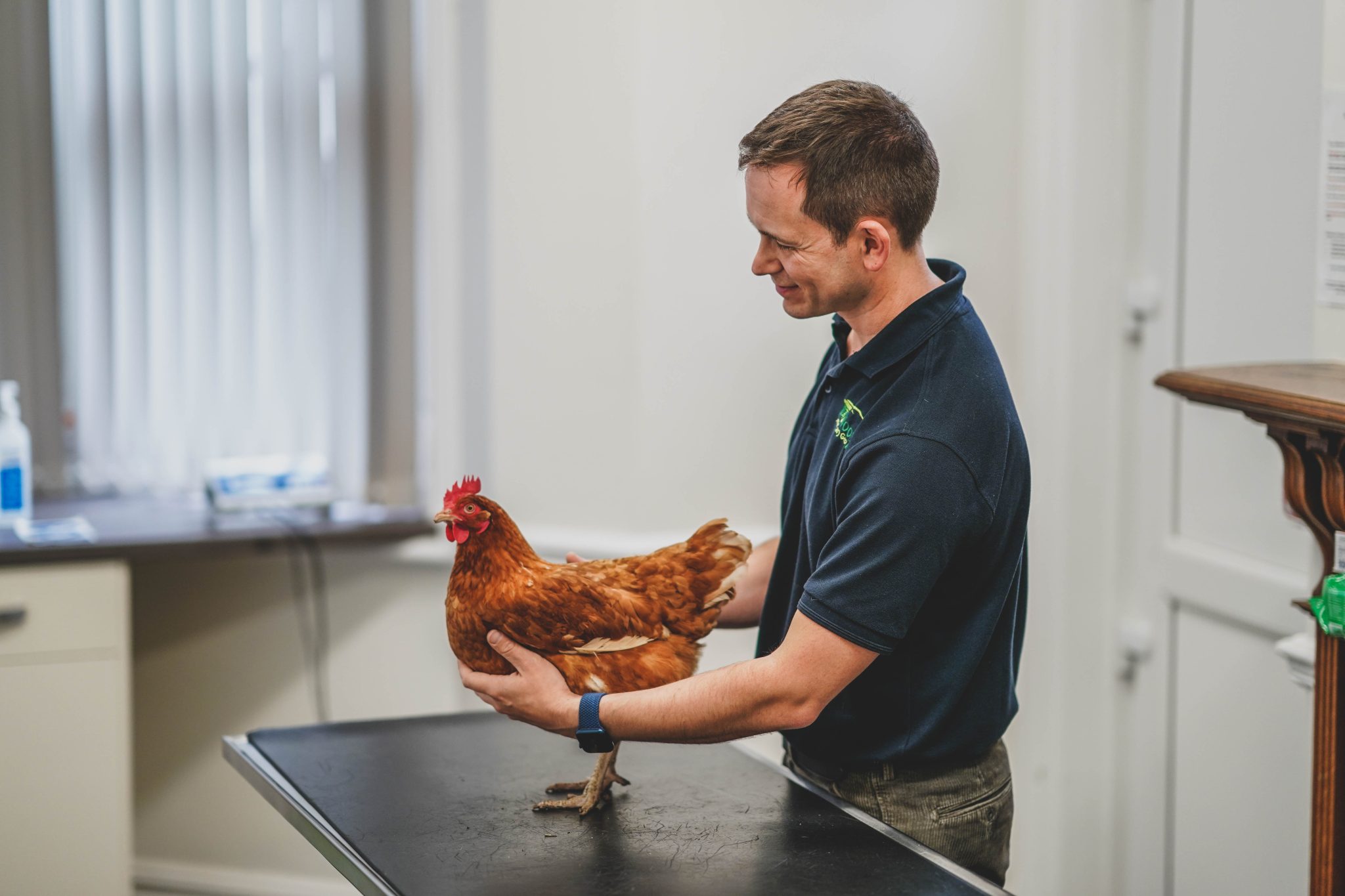 Chicken Vet - Moorgate Veterinary Group