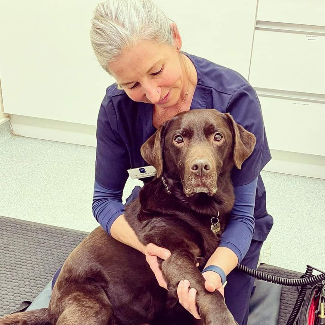 Small Animals - Moorgate Veterinary Group