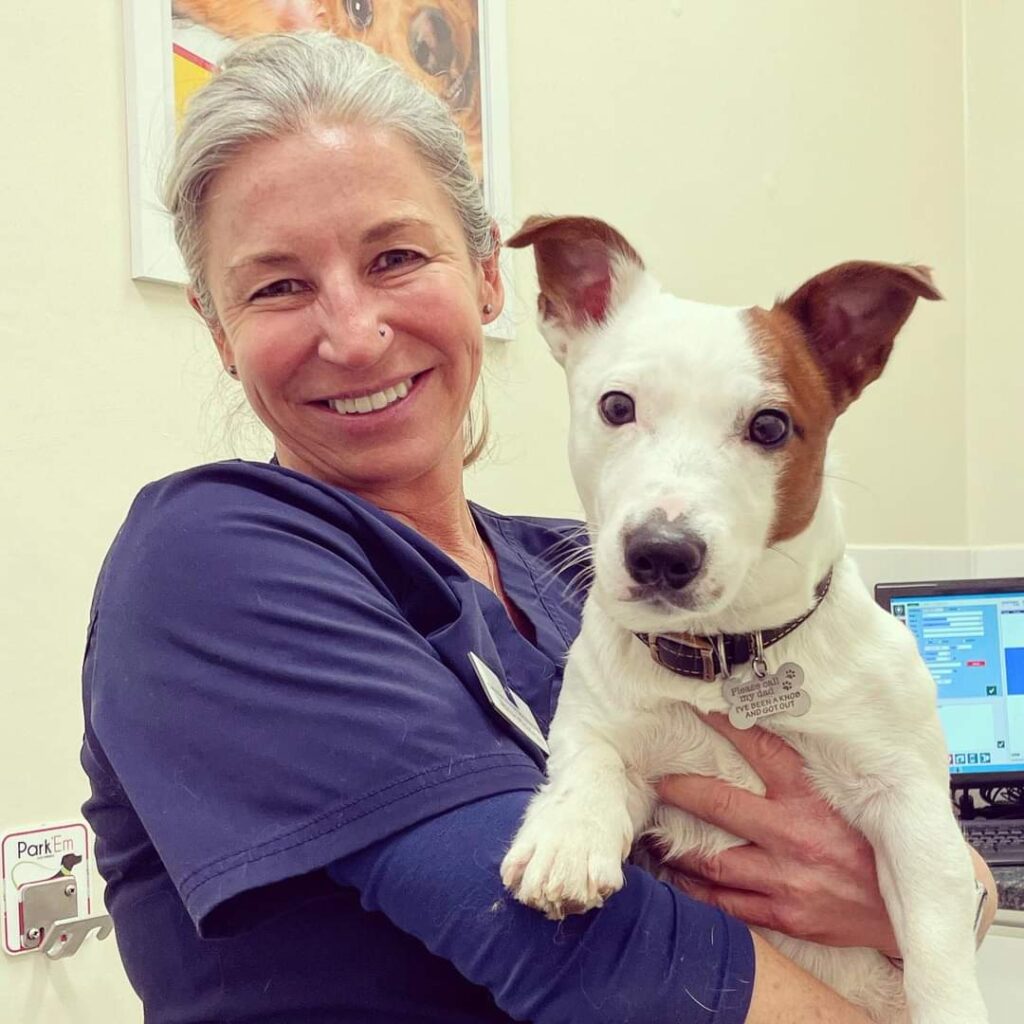 Small Animals - Moorgate Veterinary Group