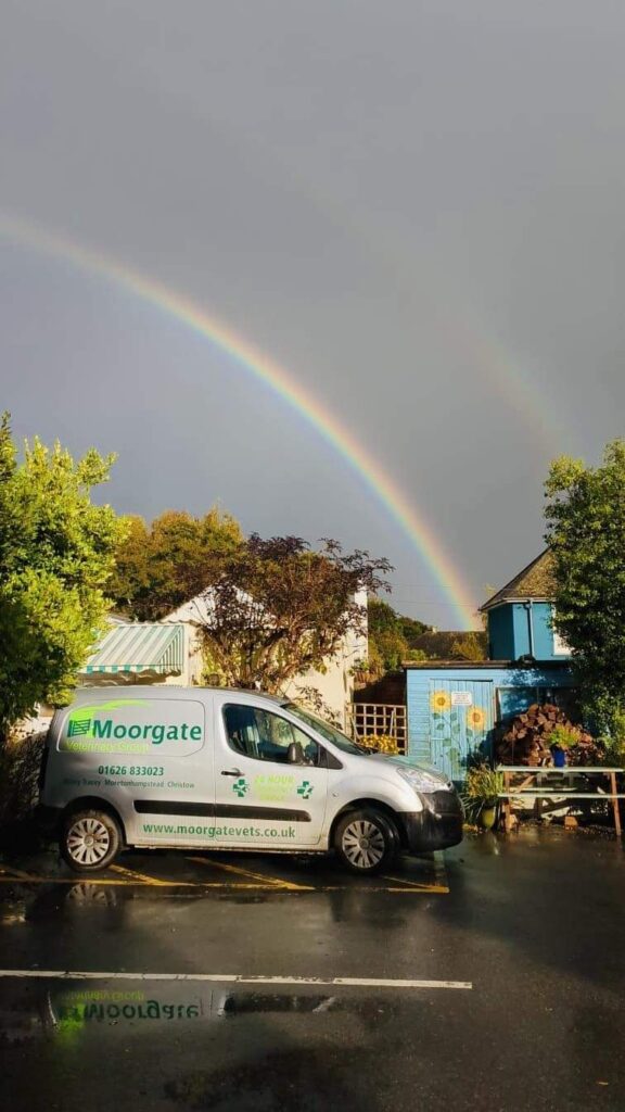 Small Animals - Moorgate Veterinary Group