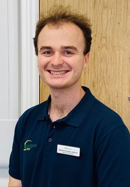 Veterinary Surgeons - Moorgate Veterinary Group